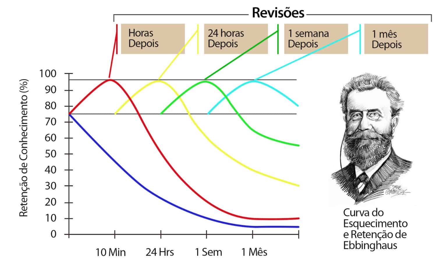 Curva de Esquecimento: o que você tem que saber sobre esse assunto